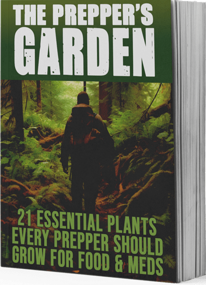 PLEASE WAIT - Checking Availability